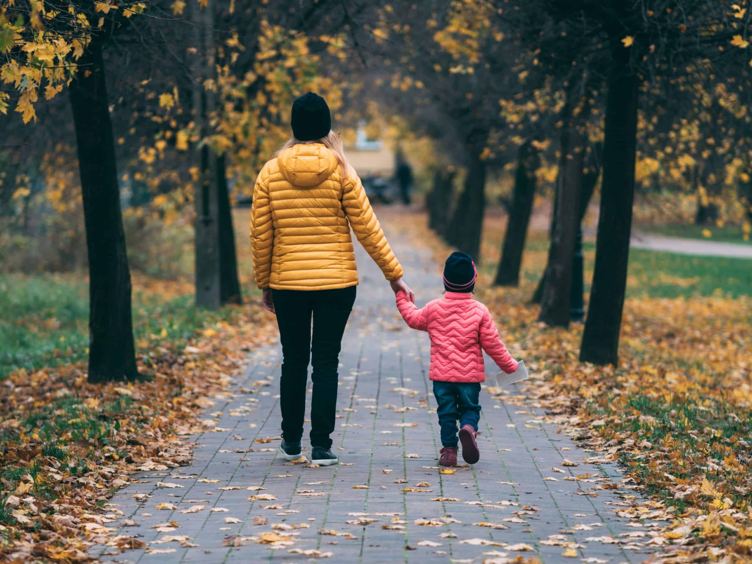 15 Cozy Ways to Enjoy an Eco-Conscious Fall